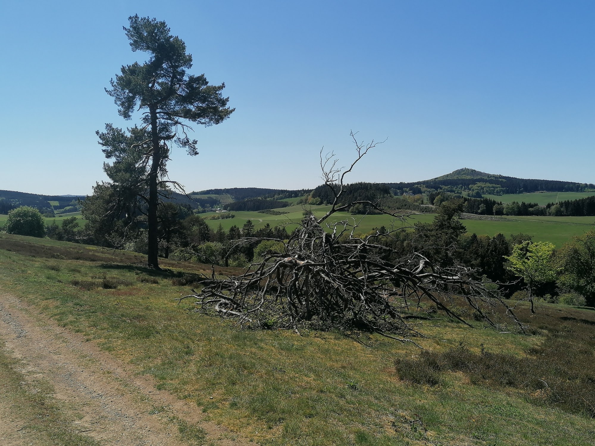 Traumpfad Bergheidenweg – Sakuschis Travel