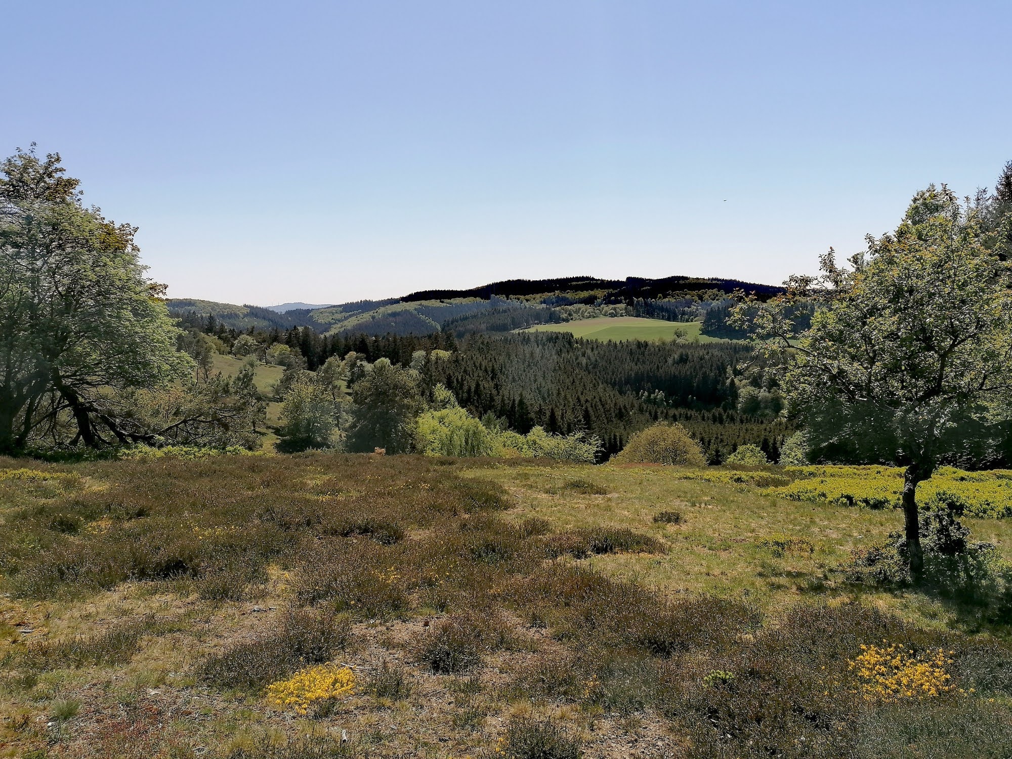 Traumpfad Bergheidenweg – Sakuschis Travel